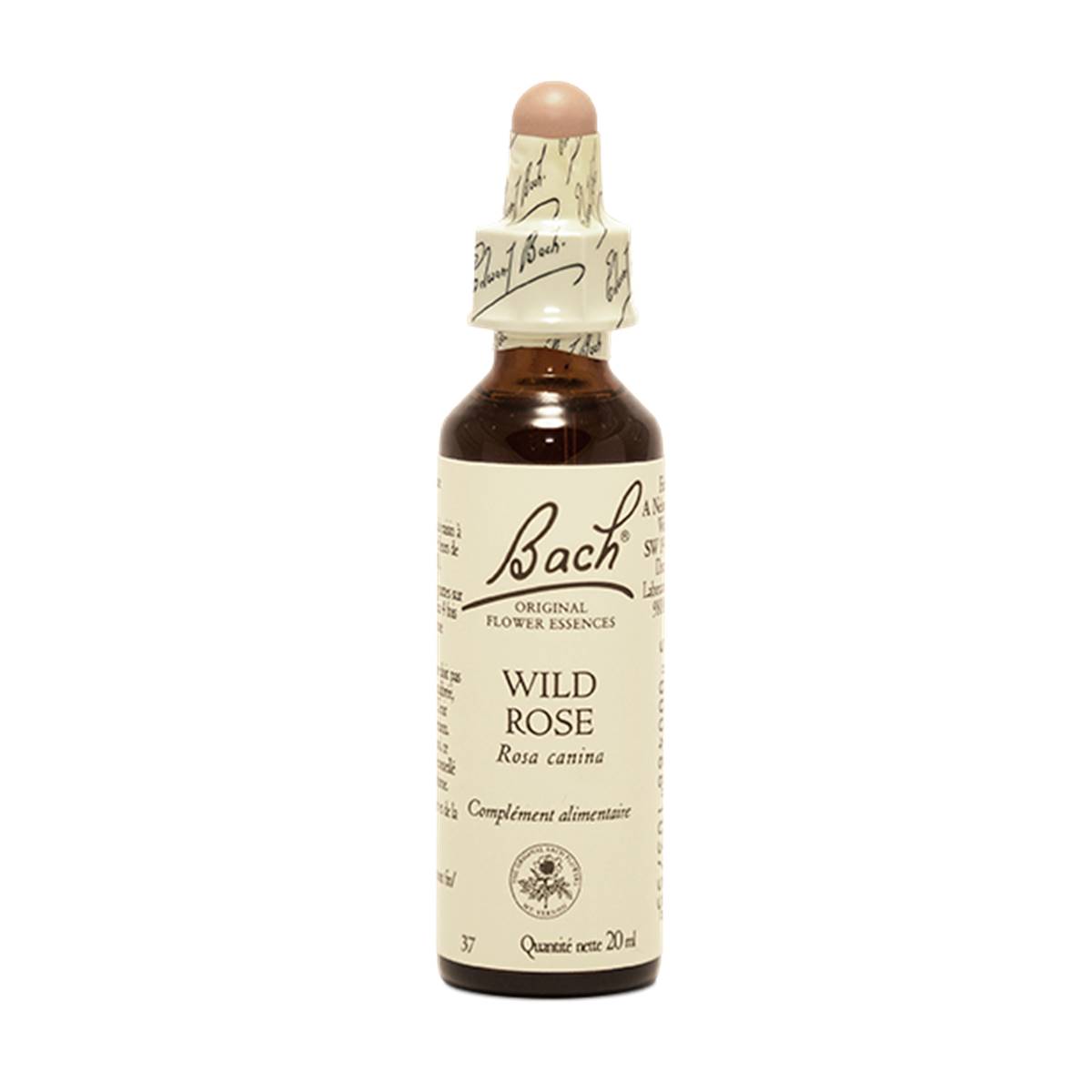 Élixir floral wild rose - Bach remedies